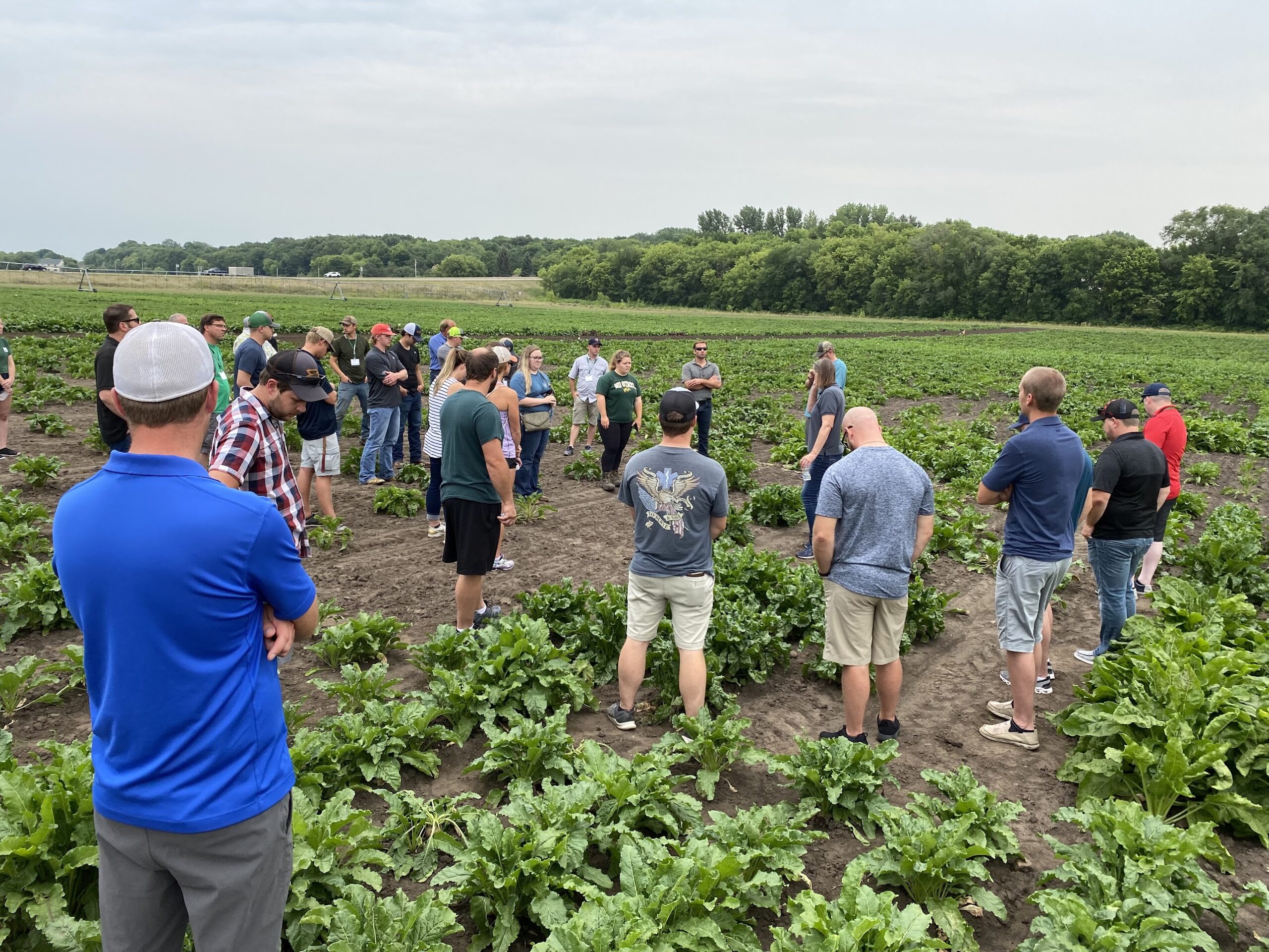 Beet Sugar Agriculture School - Beet Sugar Development Foundation